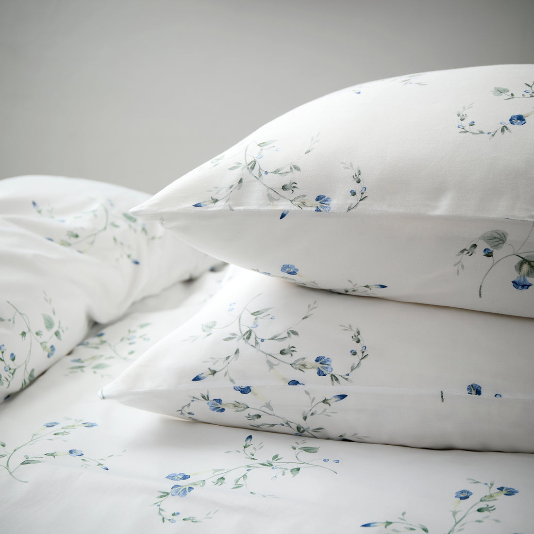 Forget Me Not Standard Pillowcase Pair – Christy